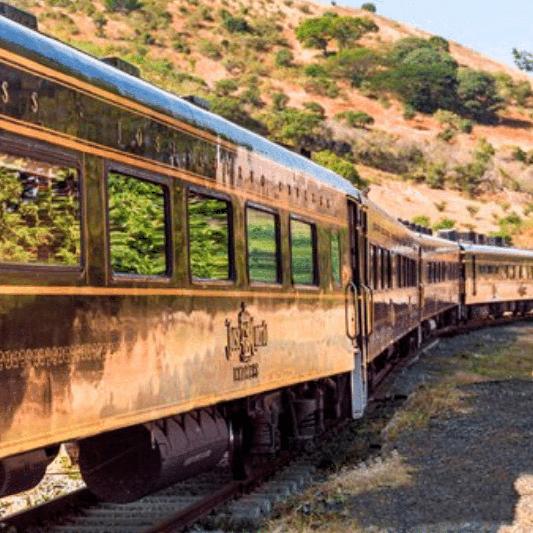 Boletos Tren José Cuervo Express primera plus- compralos aquí