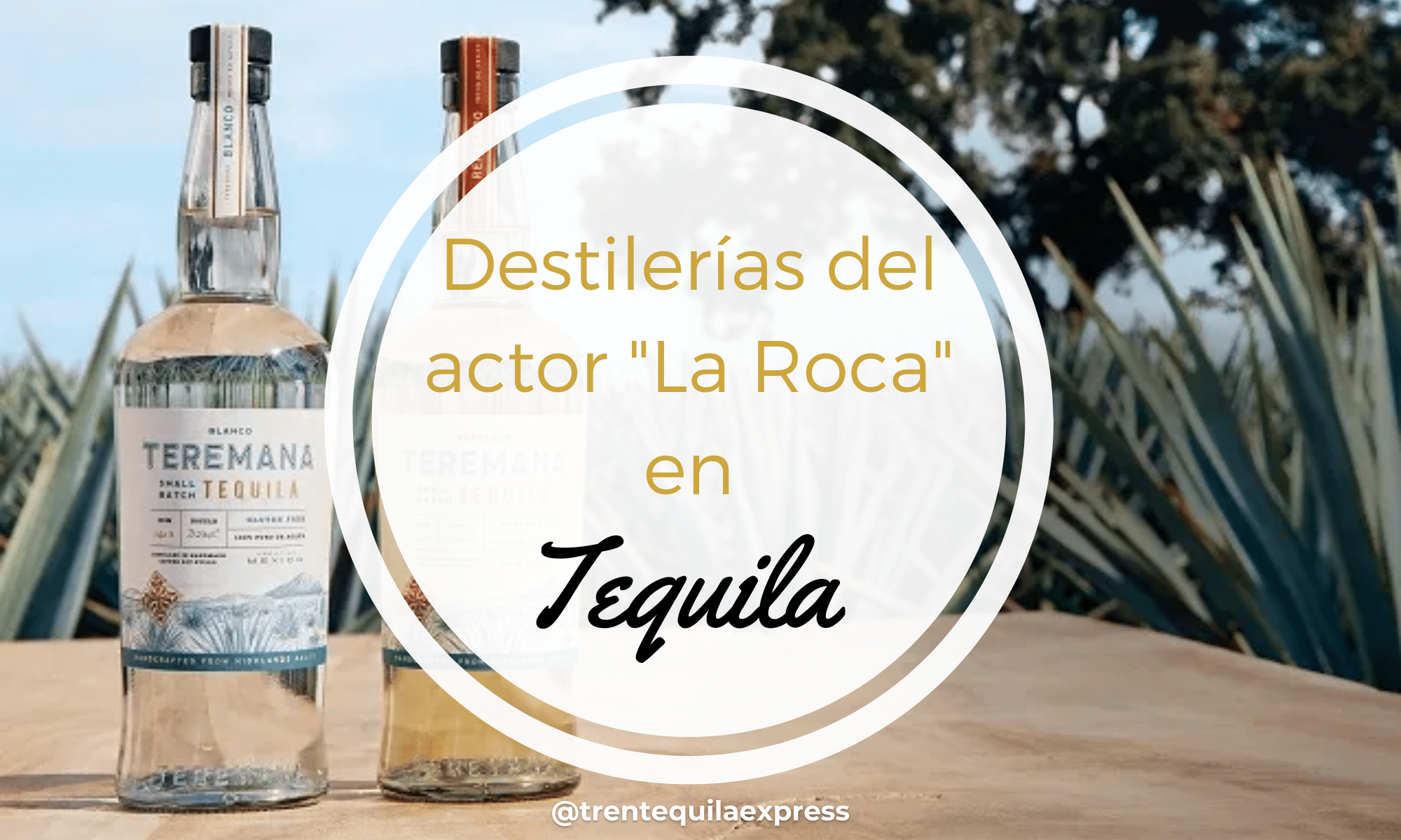 Destilerías del actor "La Roca" - Tren Tequila