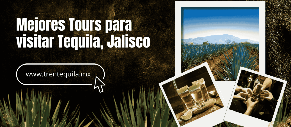 Mejores Tours para visitar Tequila, Jalisco - Tren Tequila